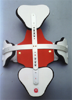 TLSO, cash brace and ash brace from NOA